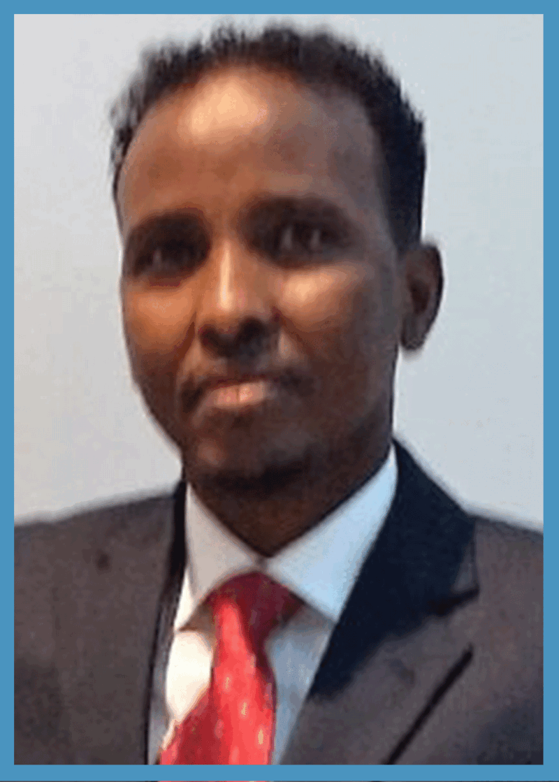 Prof. Abdi Gele, Visiting Professor